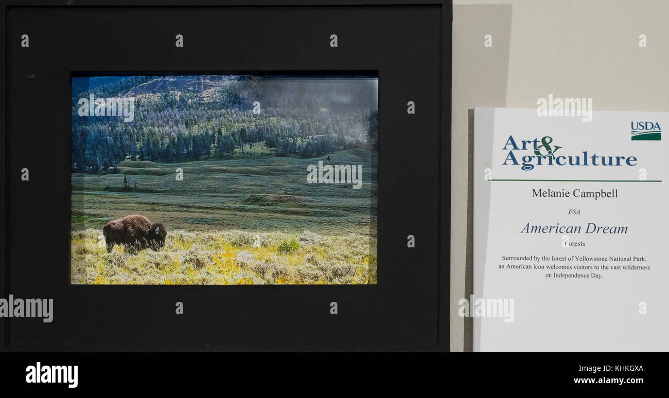 2015 U.S. Department of Agriculture (USDA) Art and Agriculture Online ...