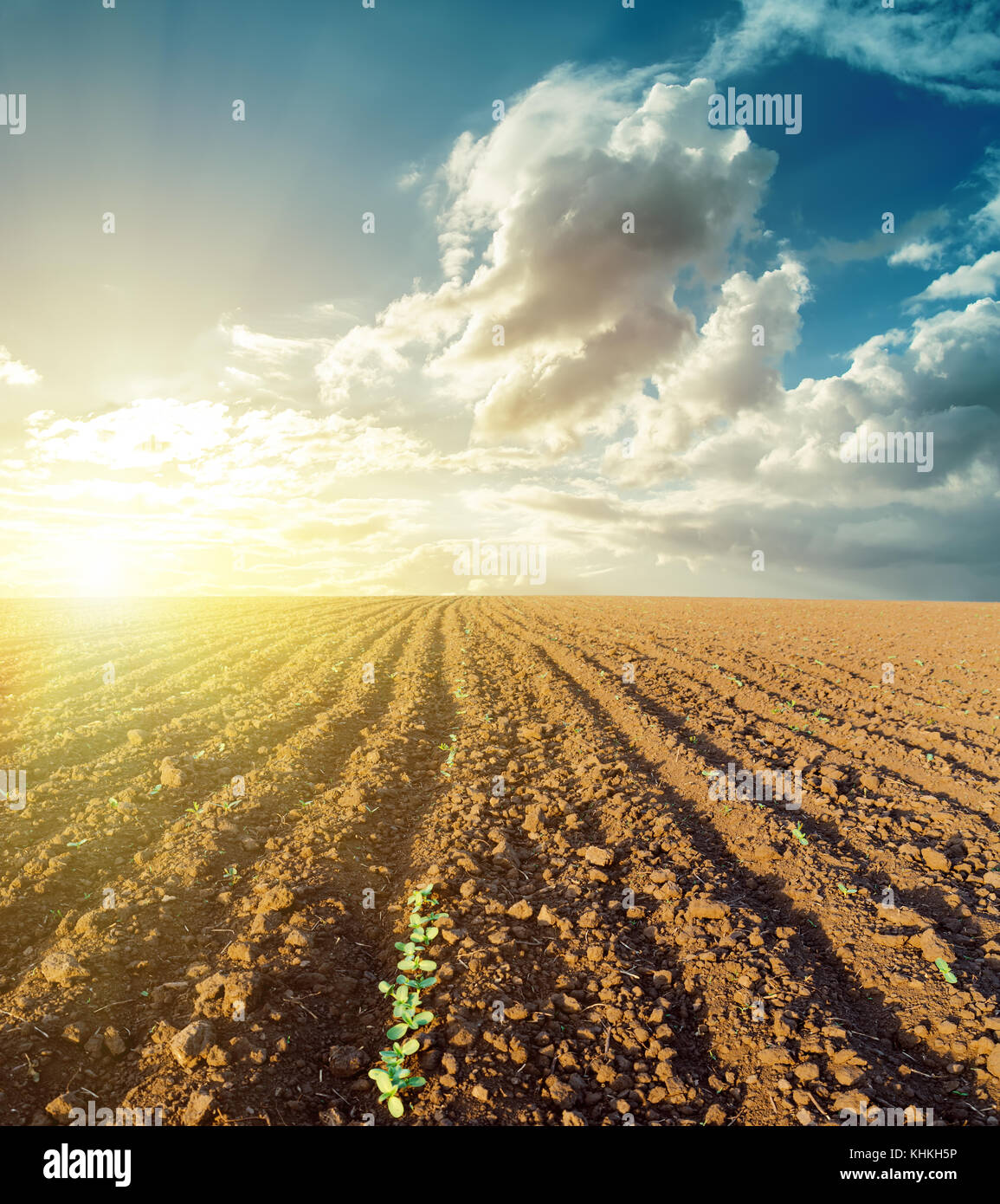 sunset in clouds and plowed field Stock Photo - Alamy