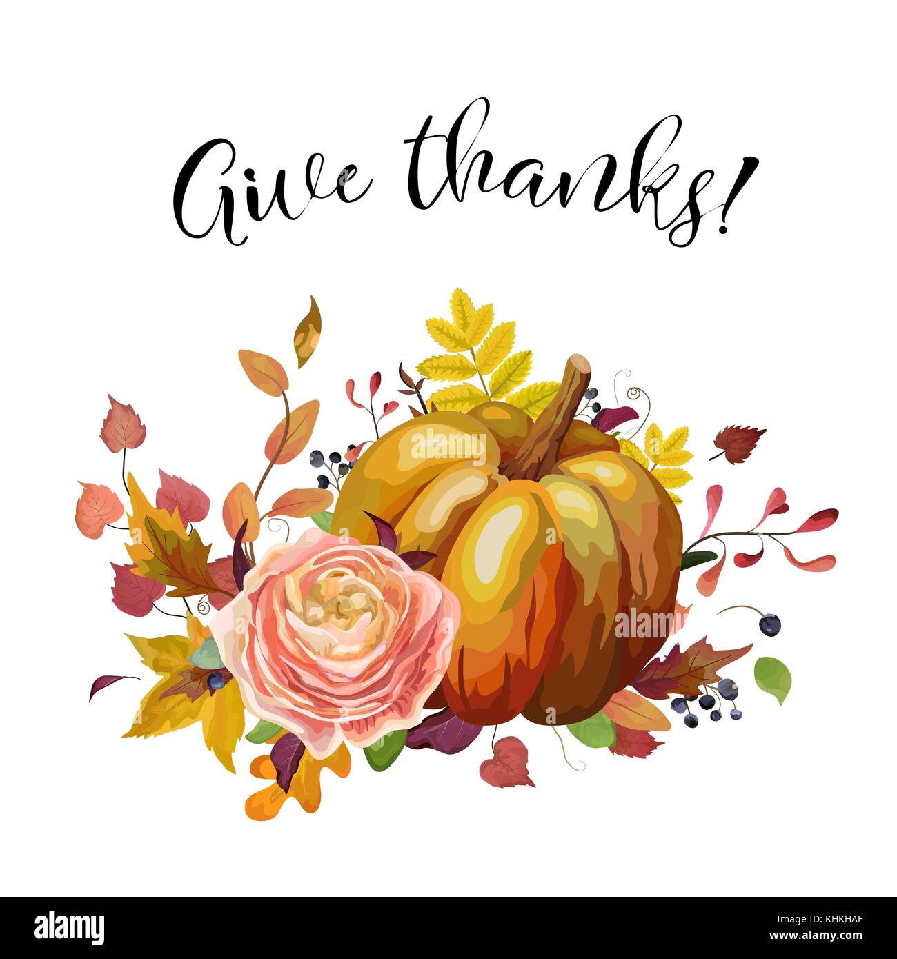 Beautiful ranunculus flowers isolated Stock Vector Images - Alamy