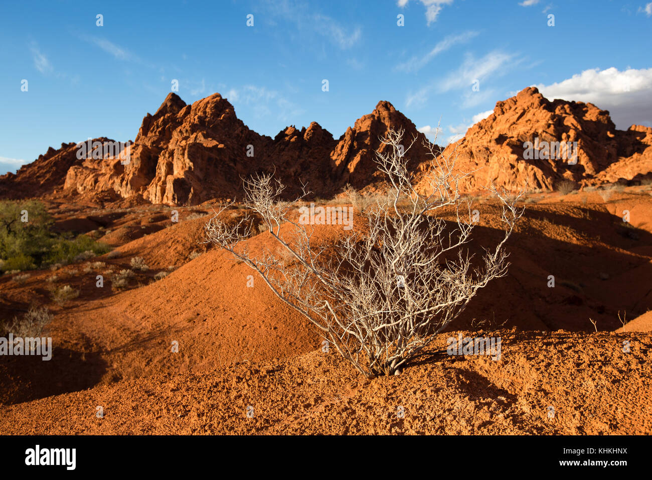 Sagebrush Fire High Resolution Stock Photography and Images - Alamy