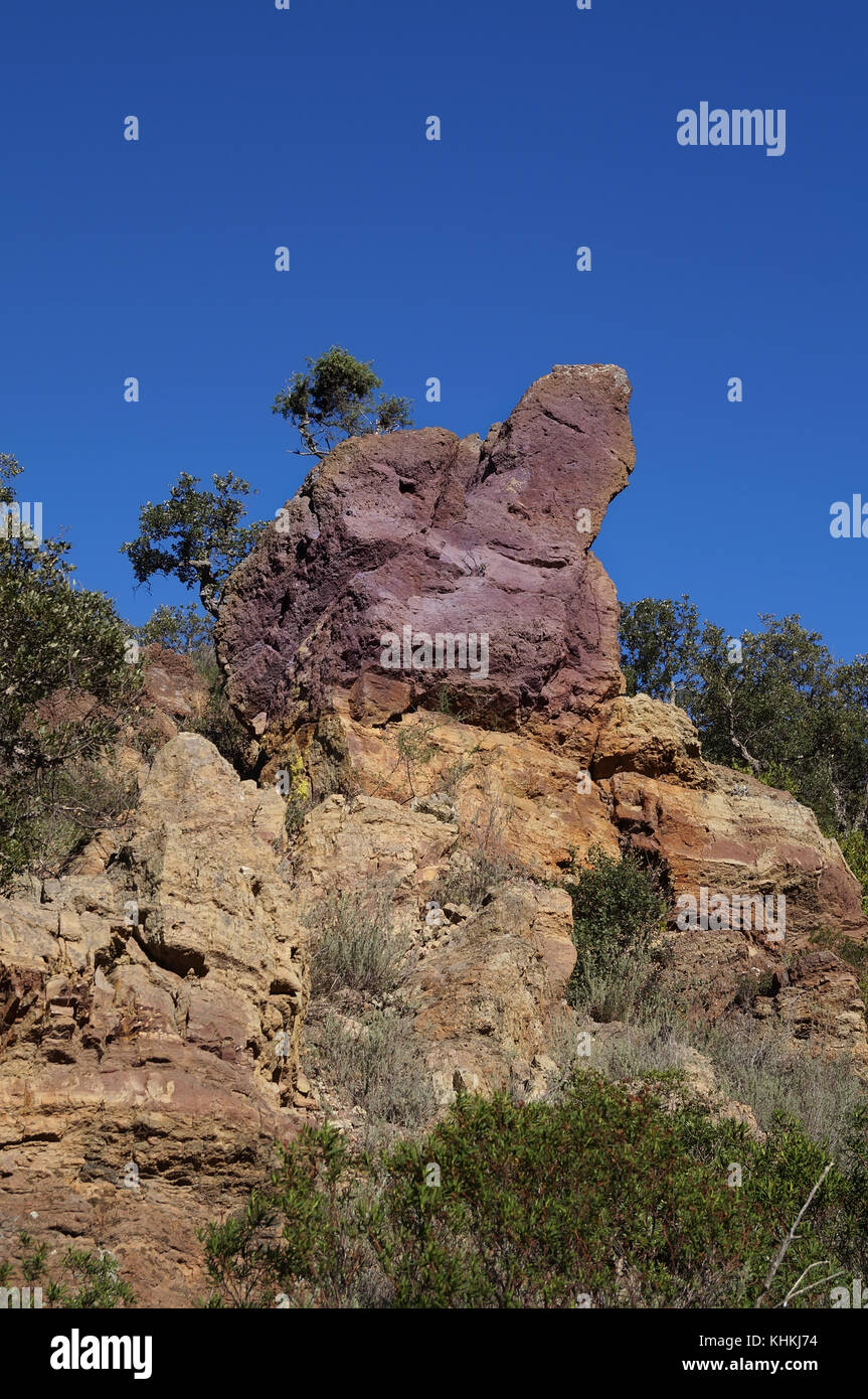 Red rock looking like a turtle in the Esterel massif in Southeastern ...