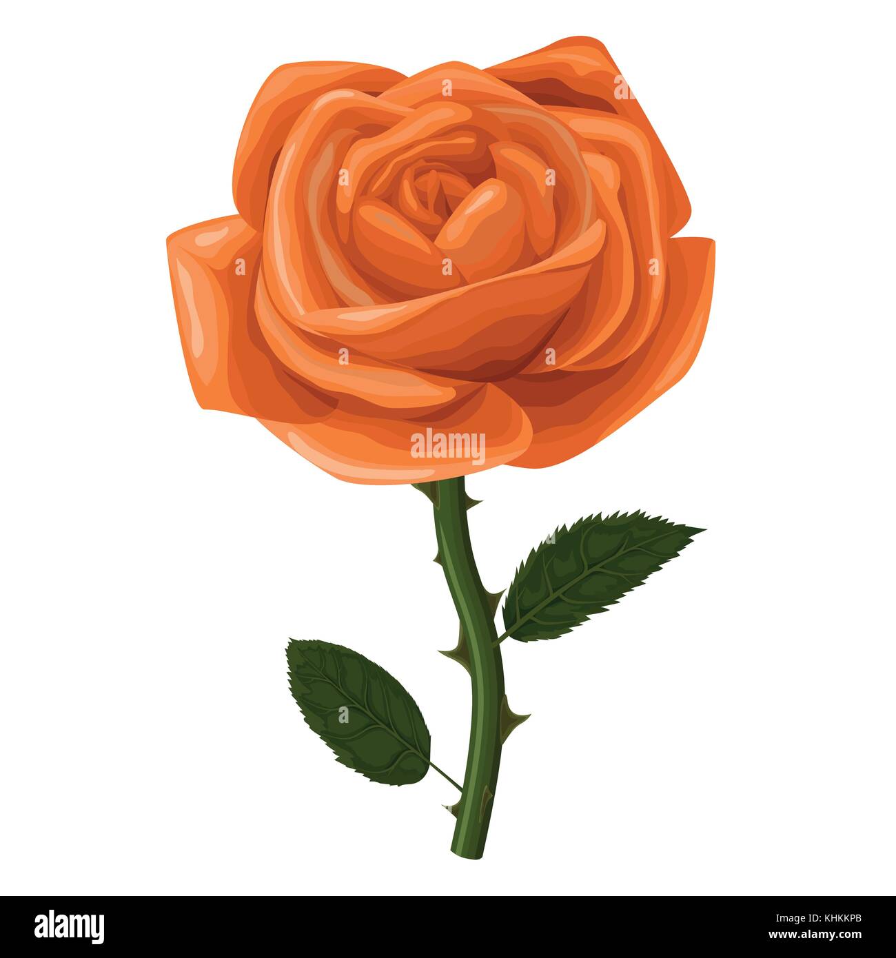 Single Orange Rose