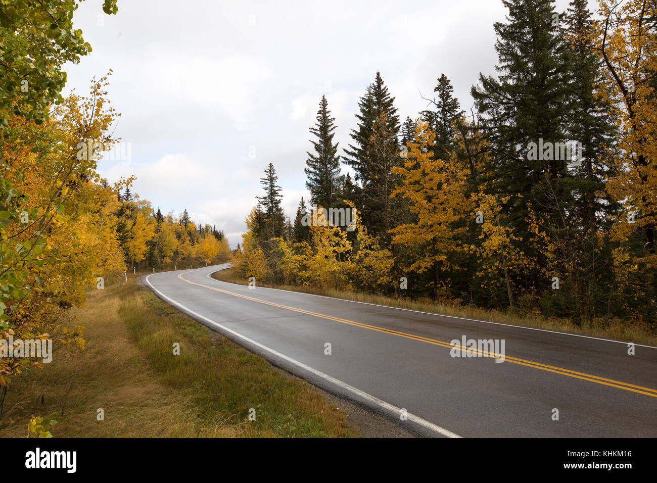 road in Alberta Canada Stock Photo - Alamy