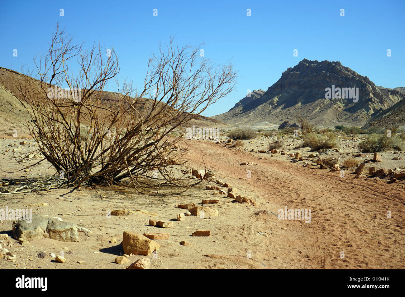 Footpath in the Negev desert in Israel Stock Photo - Alamy