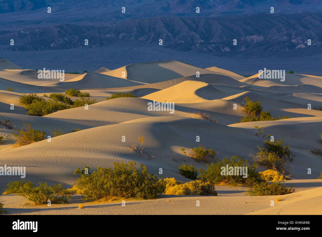 Mesquite Flat Sand Dunes, Death Valley National Park, California, USA ...