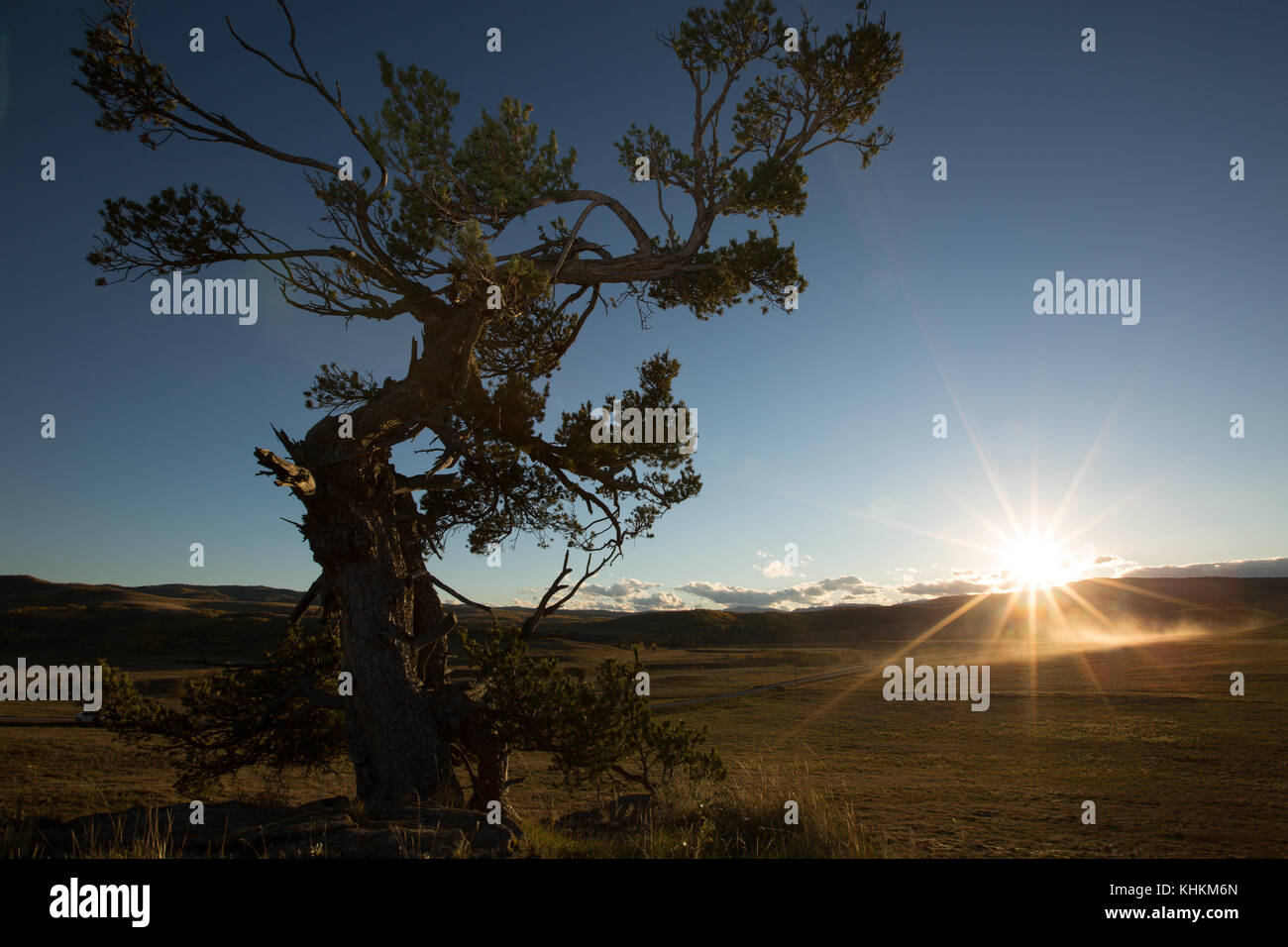 sunset on the Alberta prairie Stock Photo - Alamy