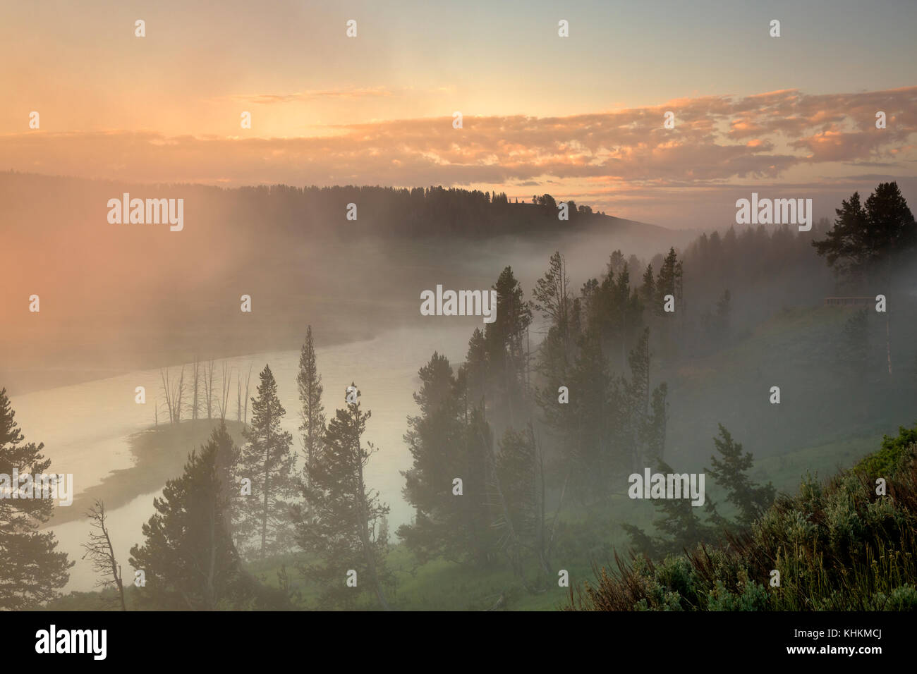 WY02625-00...WYOMING - Sunrise over the Yellowstone Riveron a foggy ...