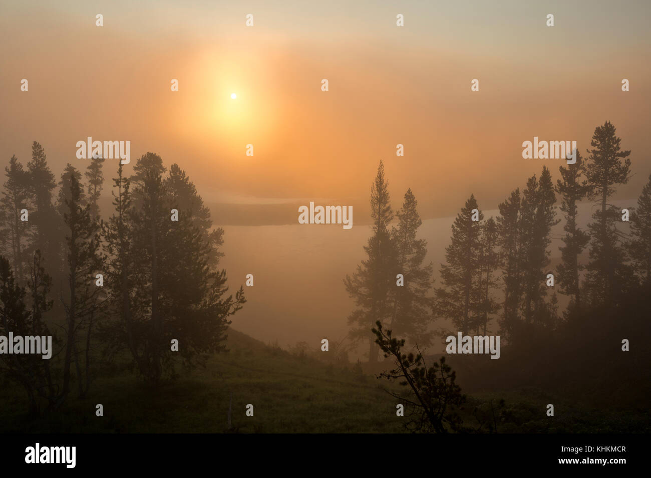 WY02626-00...WYOMING - Sunrise over the Yellowstone Riveron a foggy ...