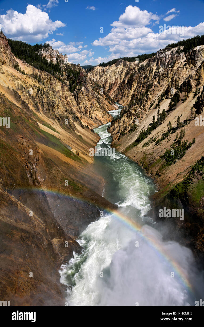 WY02642-00...WYOMING - View of the Yellowstone River from the Brink of ...
