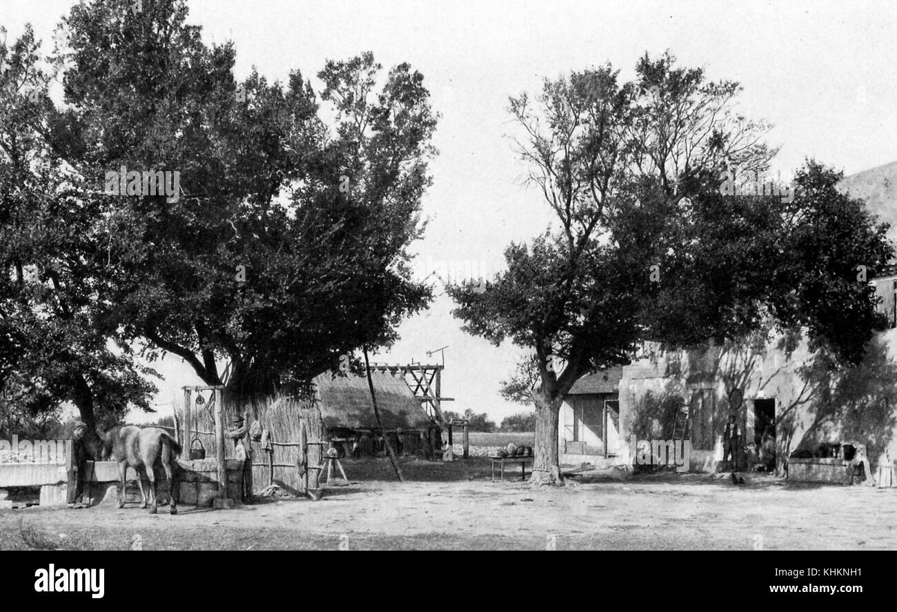 Animal agriculture 1900s High Resolution Stock Photography and Images ...