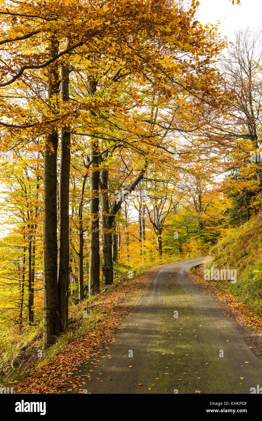 Autumn in mountains in the Czechia Stock Photo - Alamy