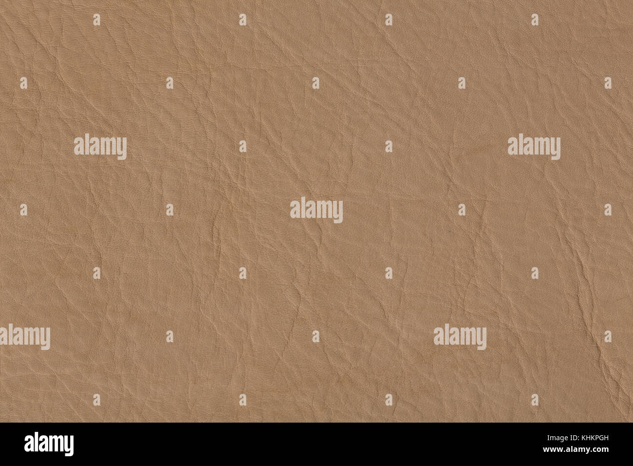 Blege leather texture close up. High resolution photo Stock Photo - Alamy
