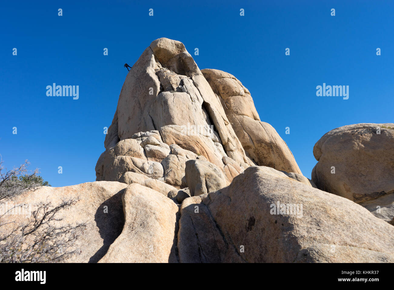 a climber is descending from a cliff in joshua tree california Stock ...