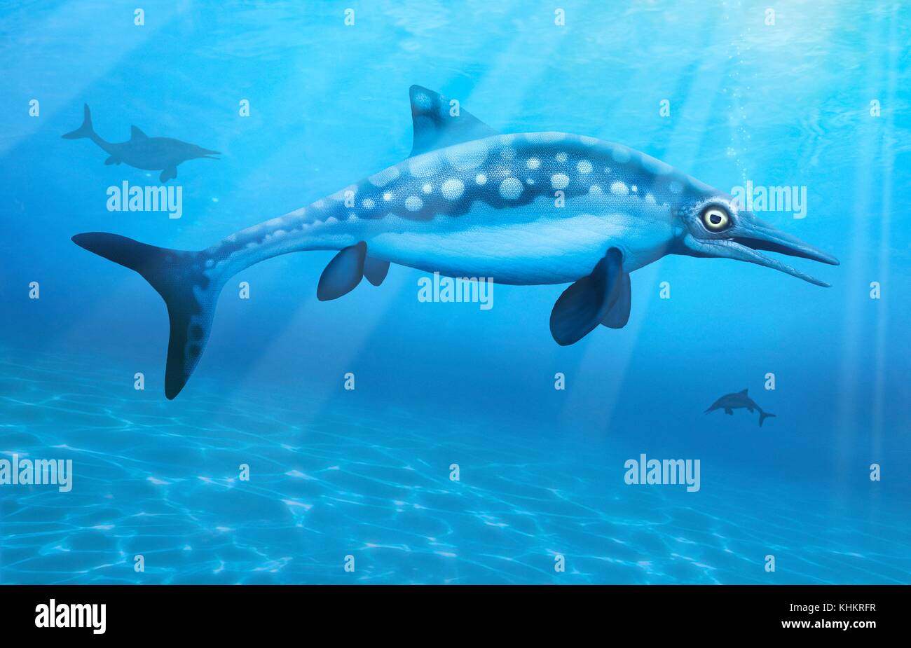 The ichthyosaurs hi-res stock photography and images - Alamy