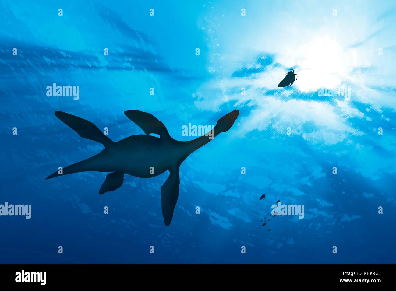 Plesiousaur hi-res stock photography and images - Alamy