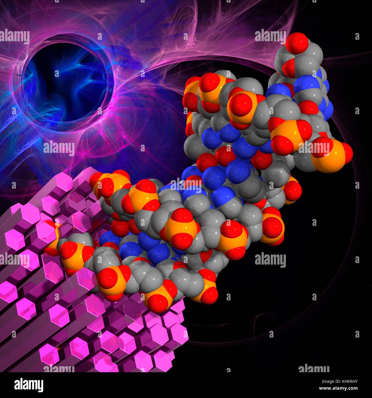 Conceptual illustration of a double stranded DNA (deoxyribonucleic acid ...