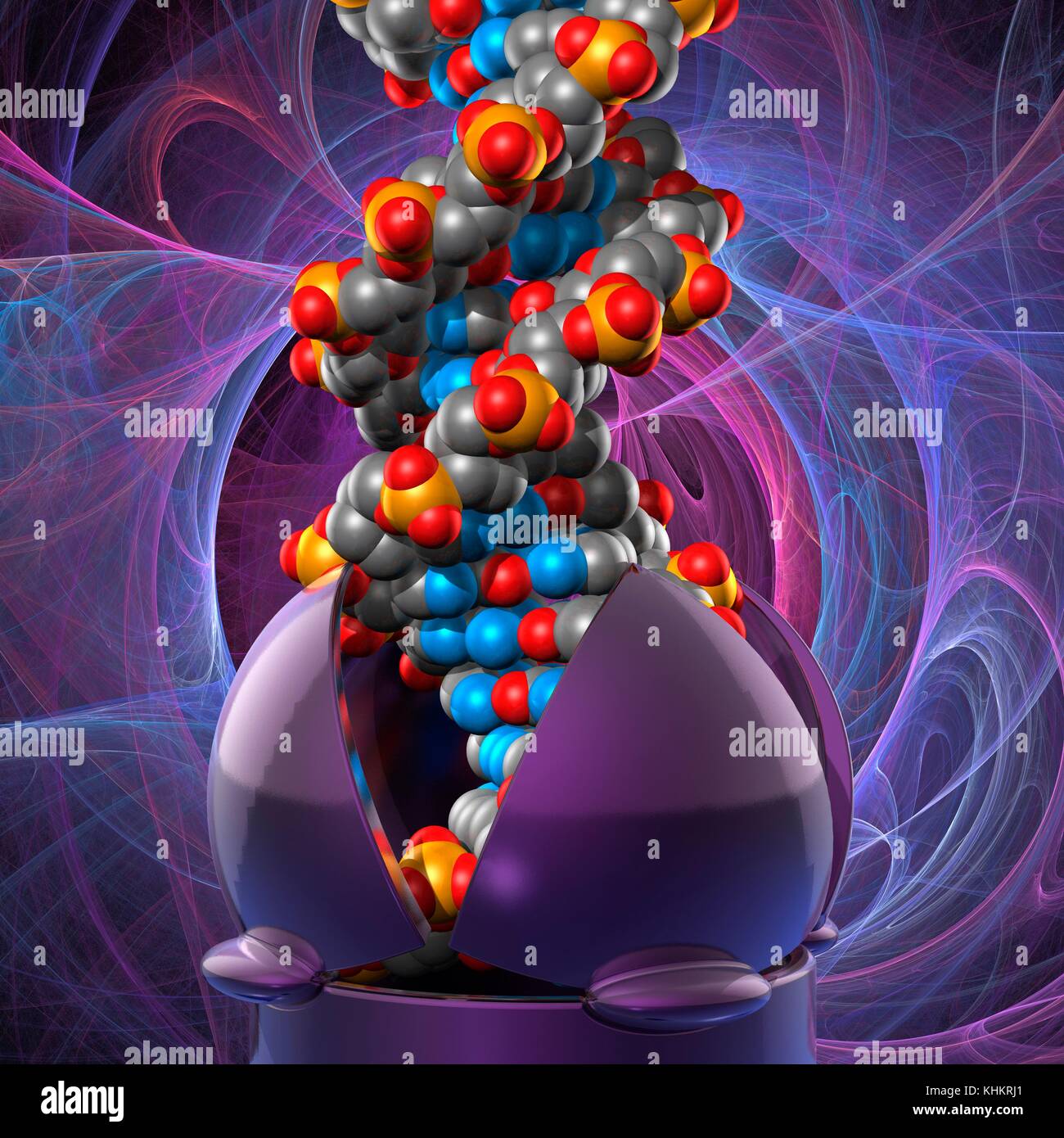 Conceptual illustration of a double stranded DNA (deoxyribonucleic acid ...
