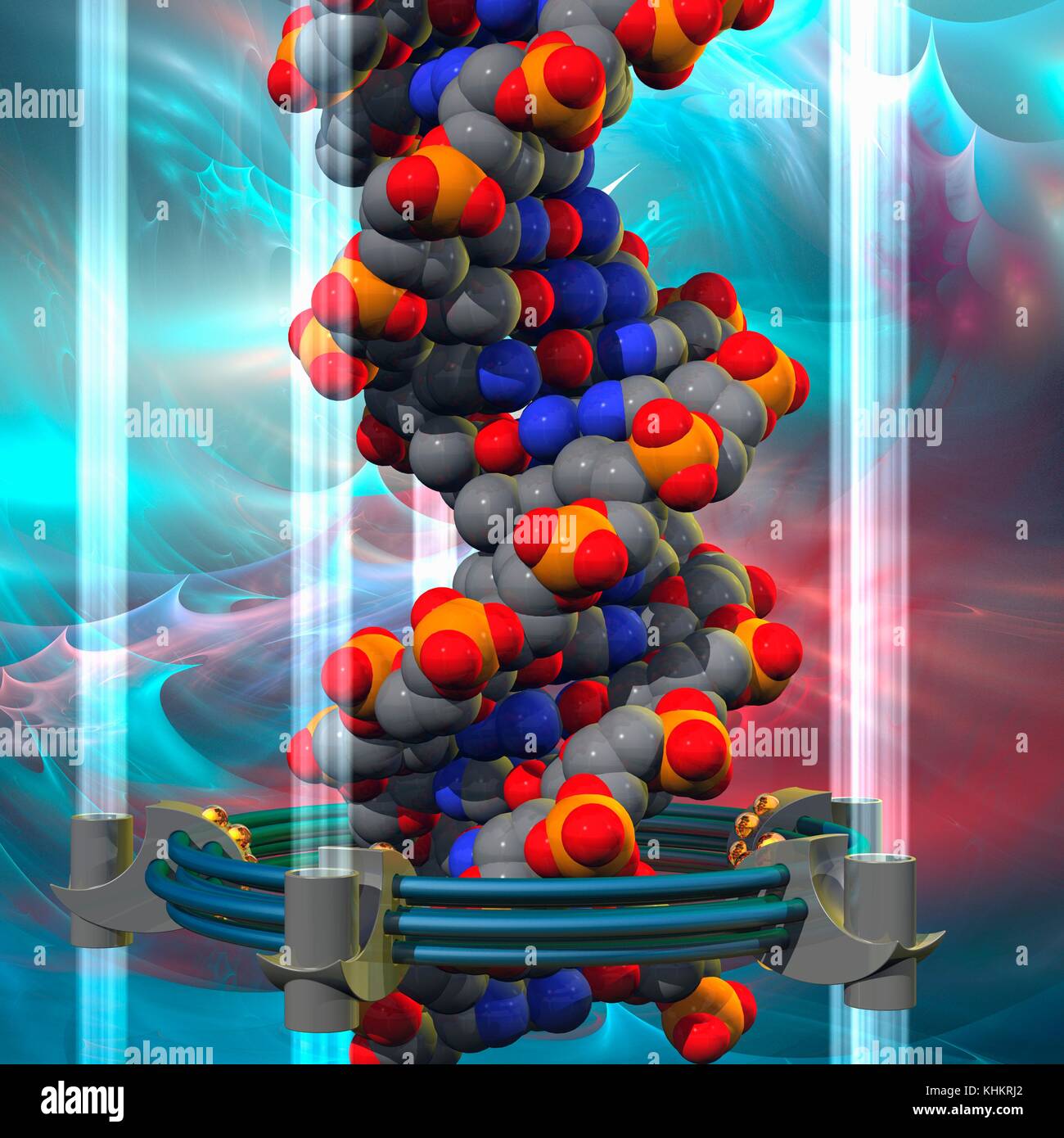 Conceptual illustration of a double stranded DNA (deoxyribonucleic acid ...