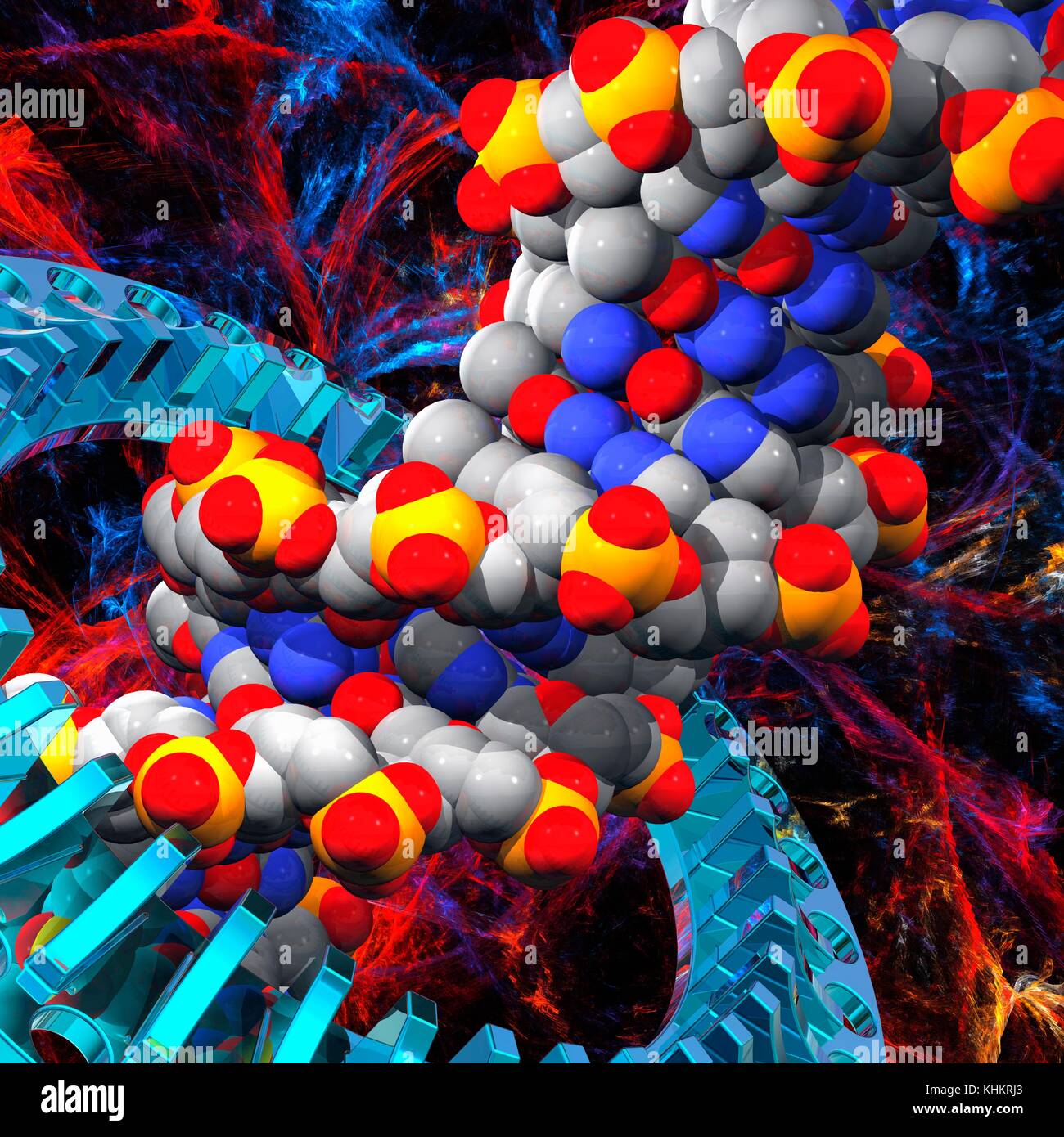 Conceptual illustration of a double stranded DNA (deoxyribonucleic acid ...