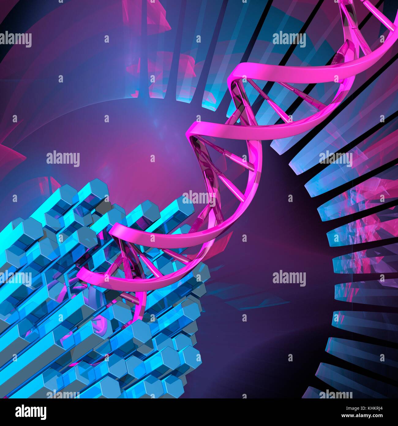 Conceptual illustration of a double stranded DNA (deoxyribonucleic acid ...
