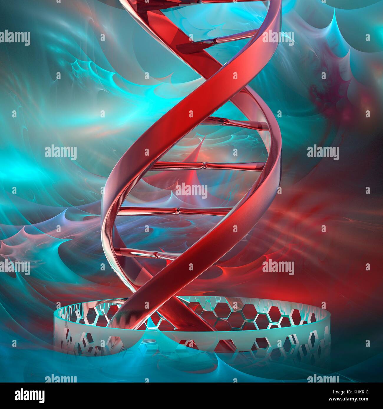 Conceptual illustration of a double stranded DNA (deoxyribonucleic acid ...