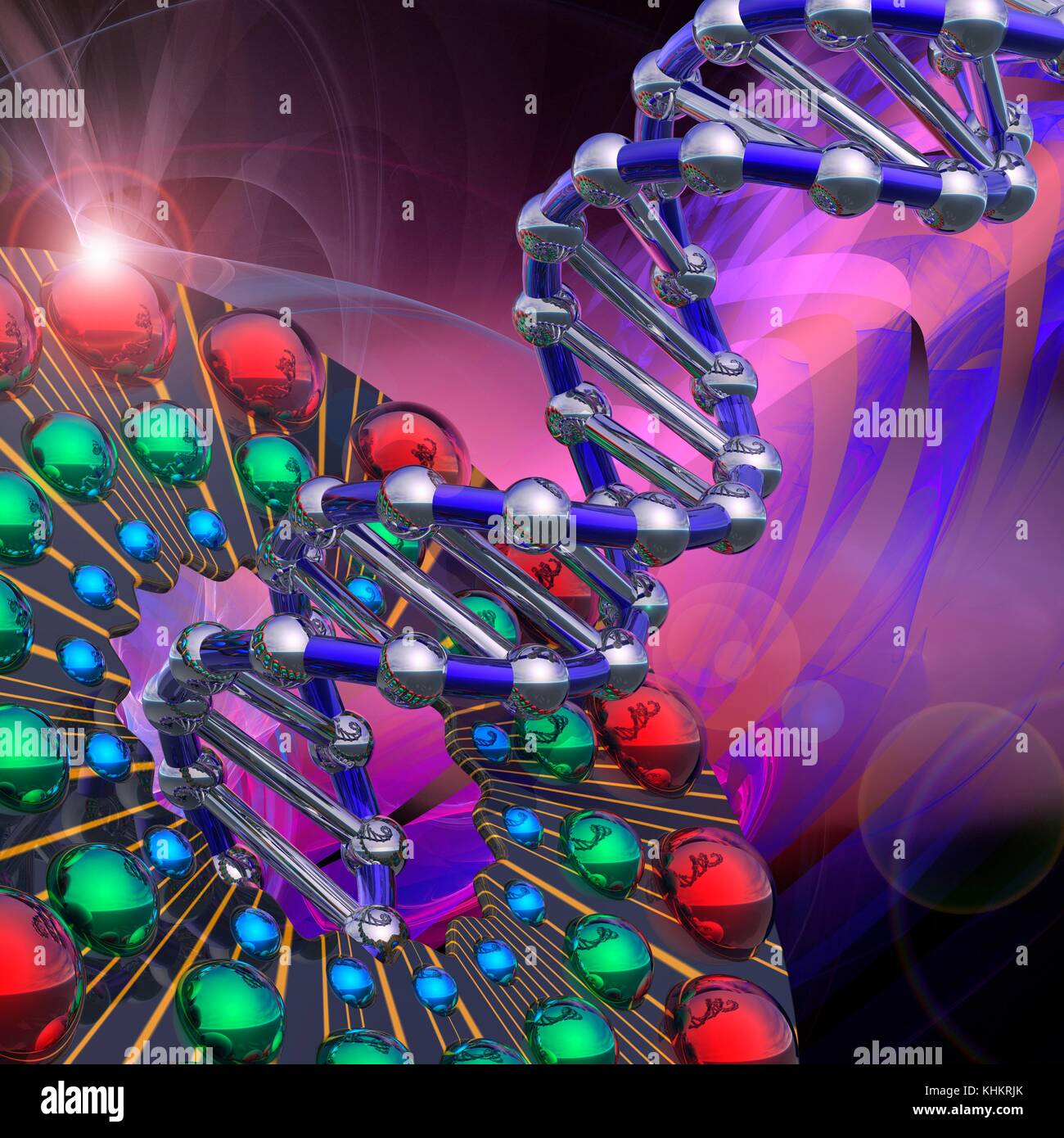 Conceptual illustration of a double stranded DNA (deoxyribonucleic acid ...
