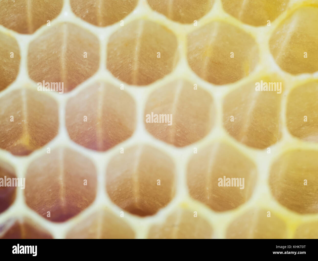 Honeycomb close up hi-res stock photography and images - Alamy