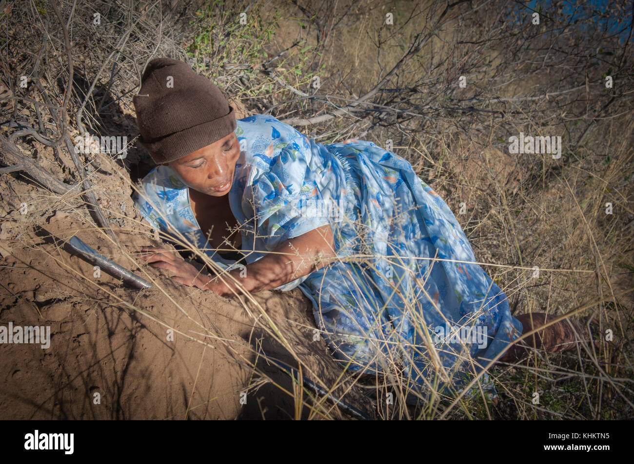 lady digging for tubers, kalahari bushman Stock Photo - Alamy