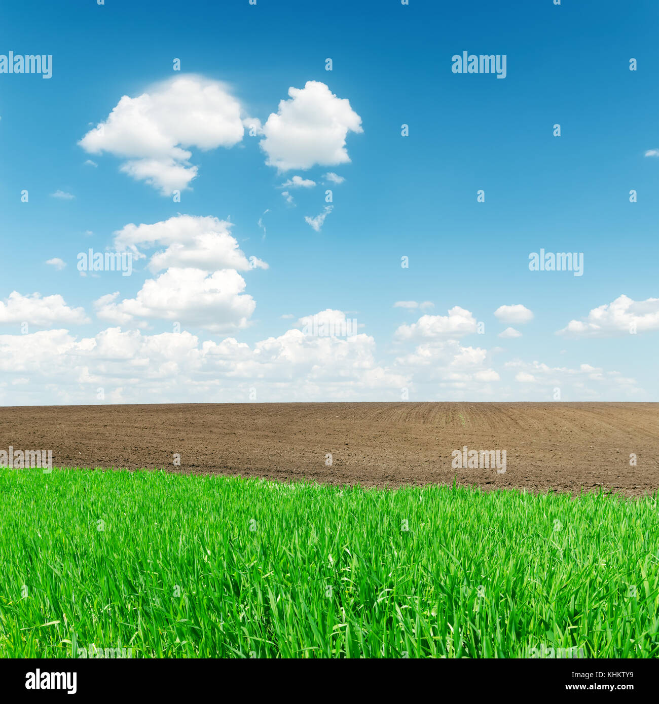 agriculture green and black fields and low clouds in horizon Stock ...