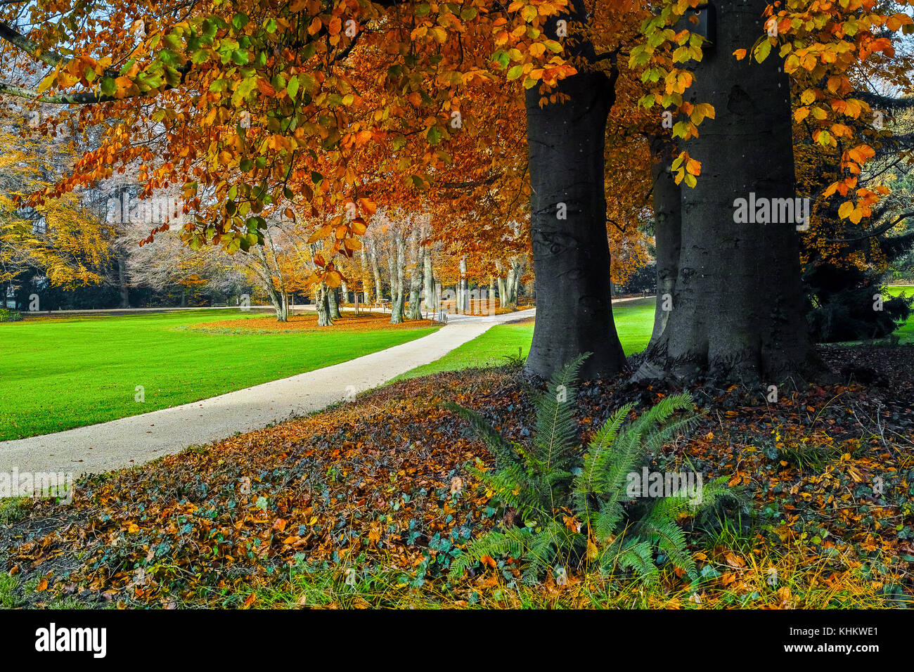 Bautiful Fall Colors in Wenkenpark, Basel, Switzerland Stock Photo - Alamy