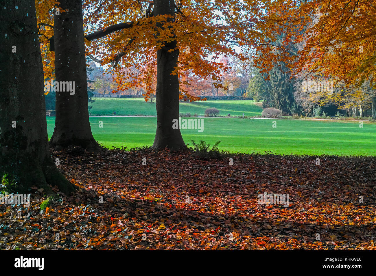 Bautiful Fall Colors in Wenkenpark, Basel, Switzerland Stock Photo - Alamy