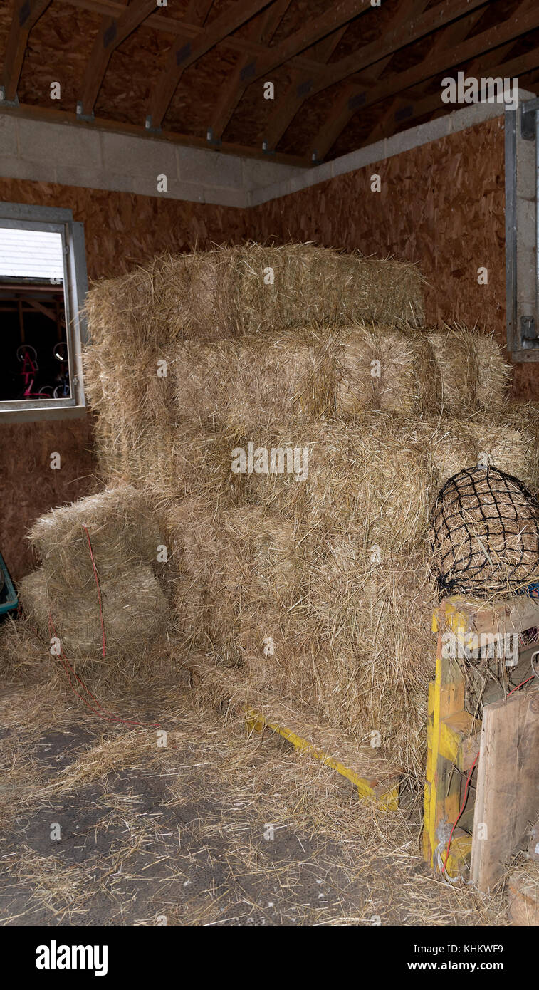 Bales of hay, feed for horses stacked in a stable Stock Photo - Alamy