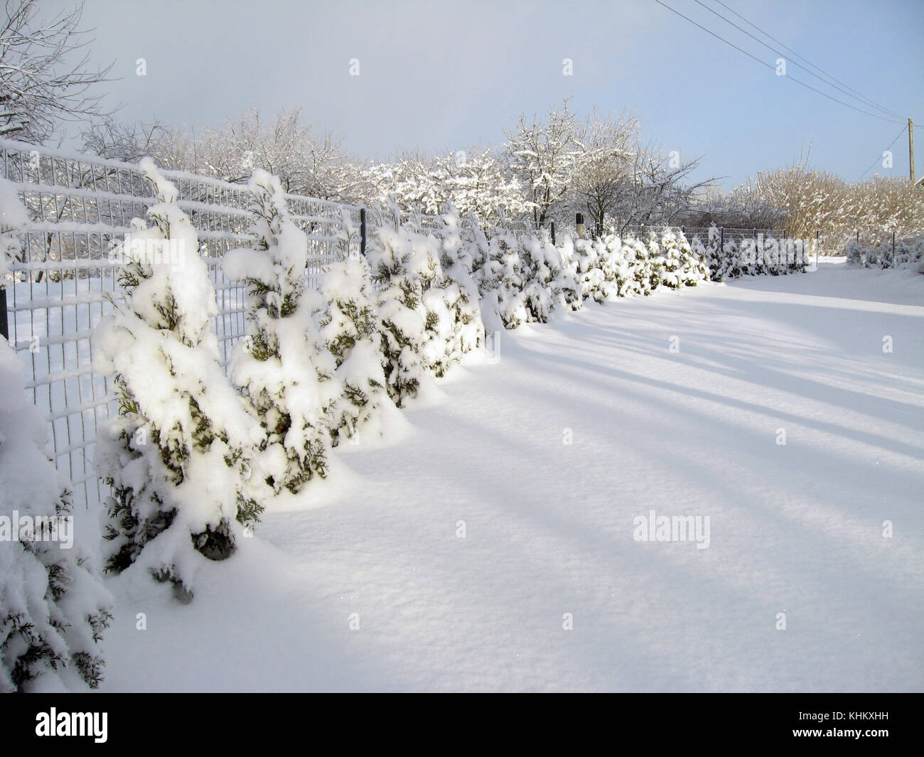 Country yard after snowfall with fence and trees covered with deep snow ...