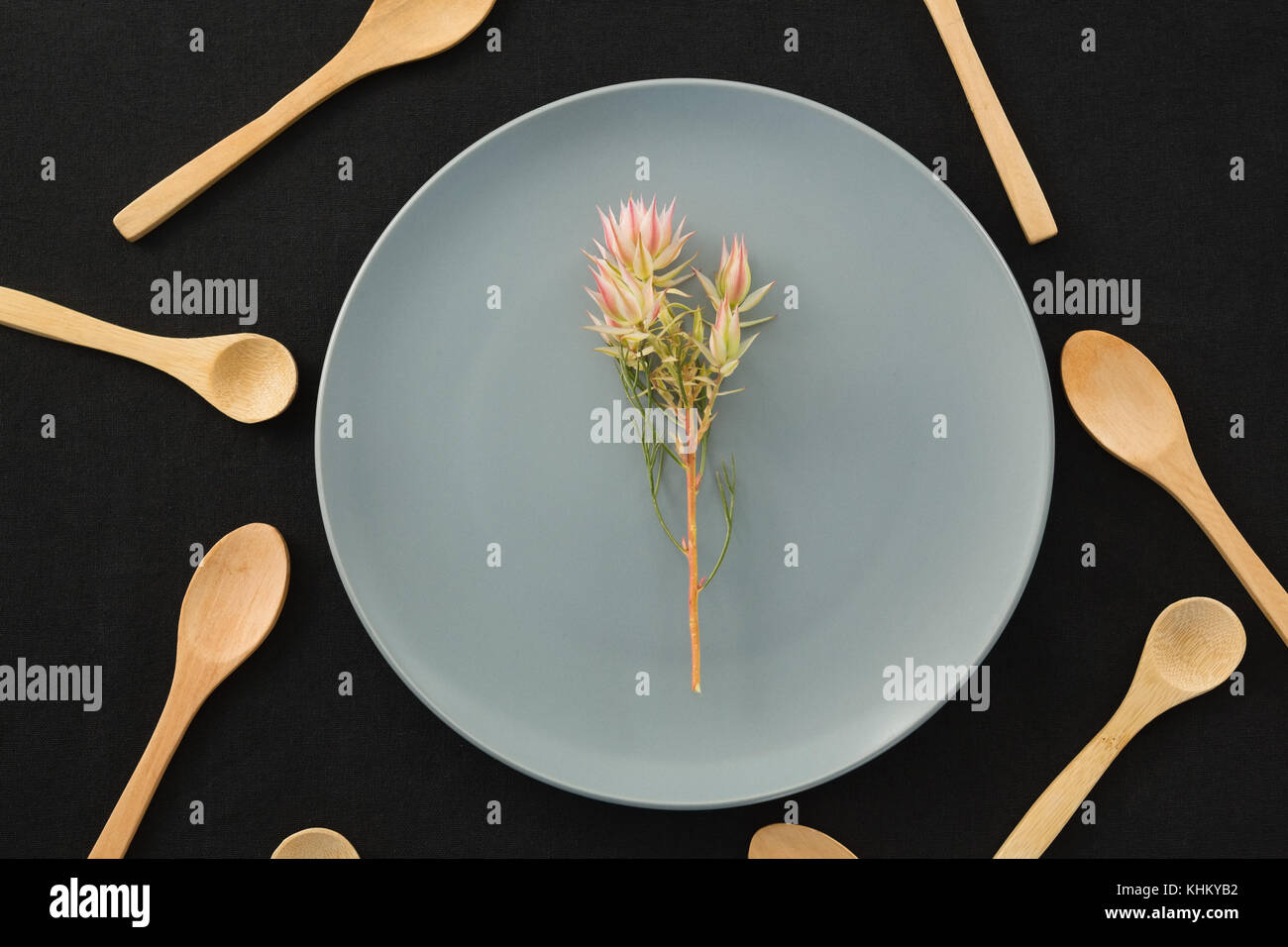 Setting black hi-res stock photography and images - Alamy