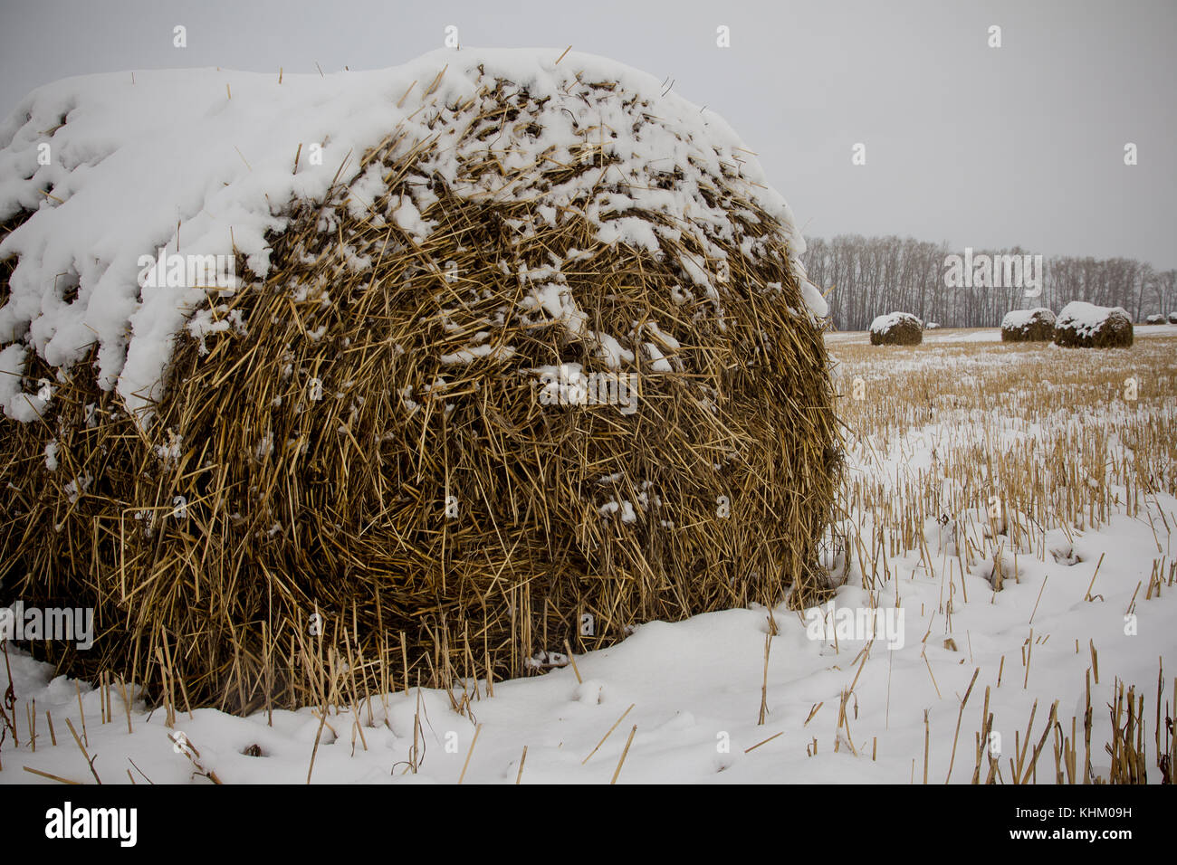 Covered with rags hi-res stock photography and images - Alamy