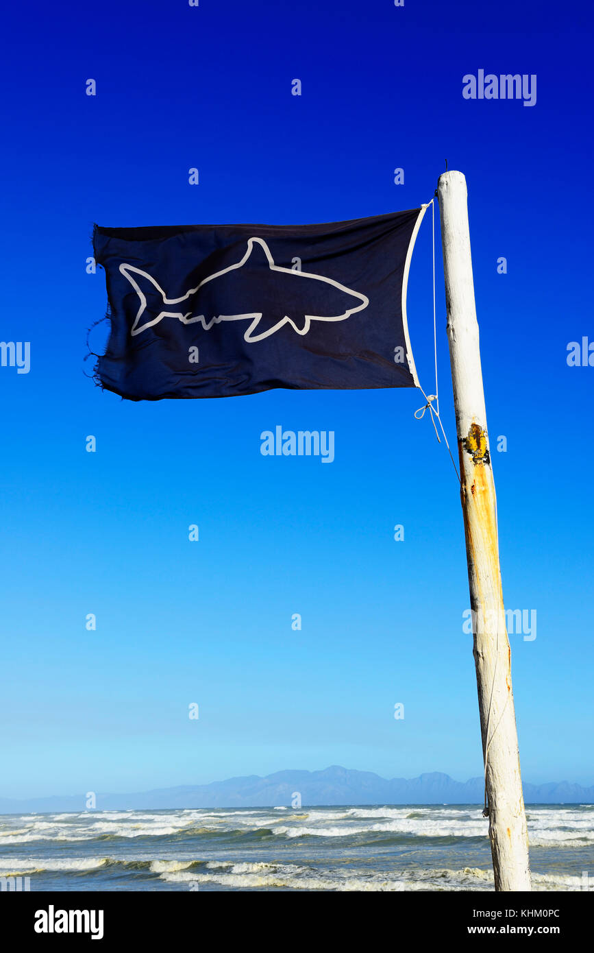 Shark danger flag High Resolution Stock Photography and Images - Alamy