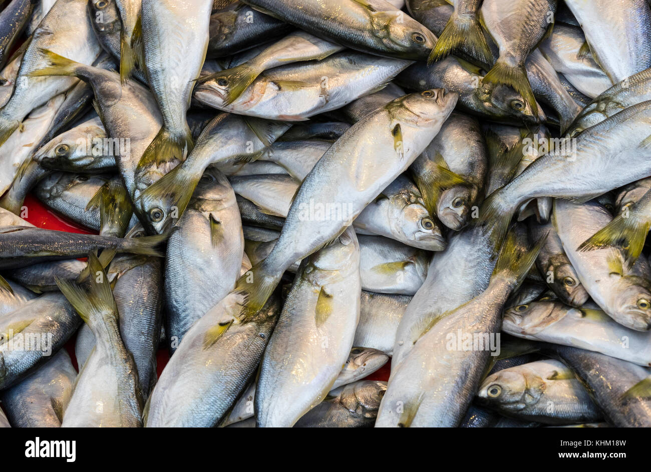 Background of fresh small sea fish shot close-up Stock Photo - Alamy