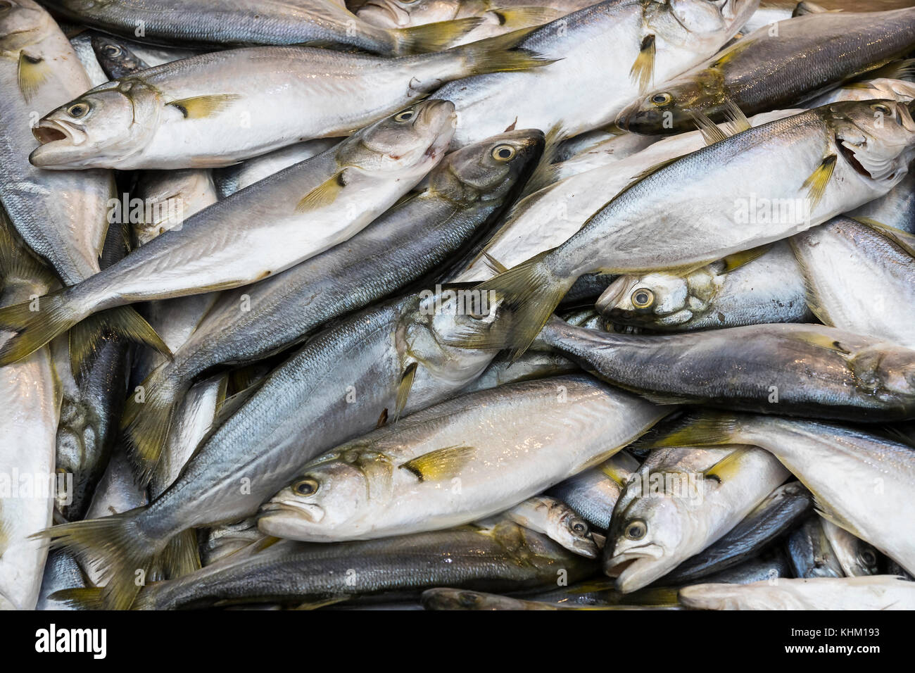 Background of fresh small sea fish shot close-up Stock Photo - Alamy