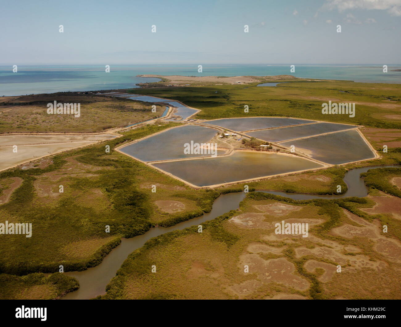 Shrimp farm mangroves hi-res stock photography and images - Alamy