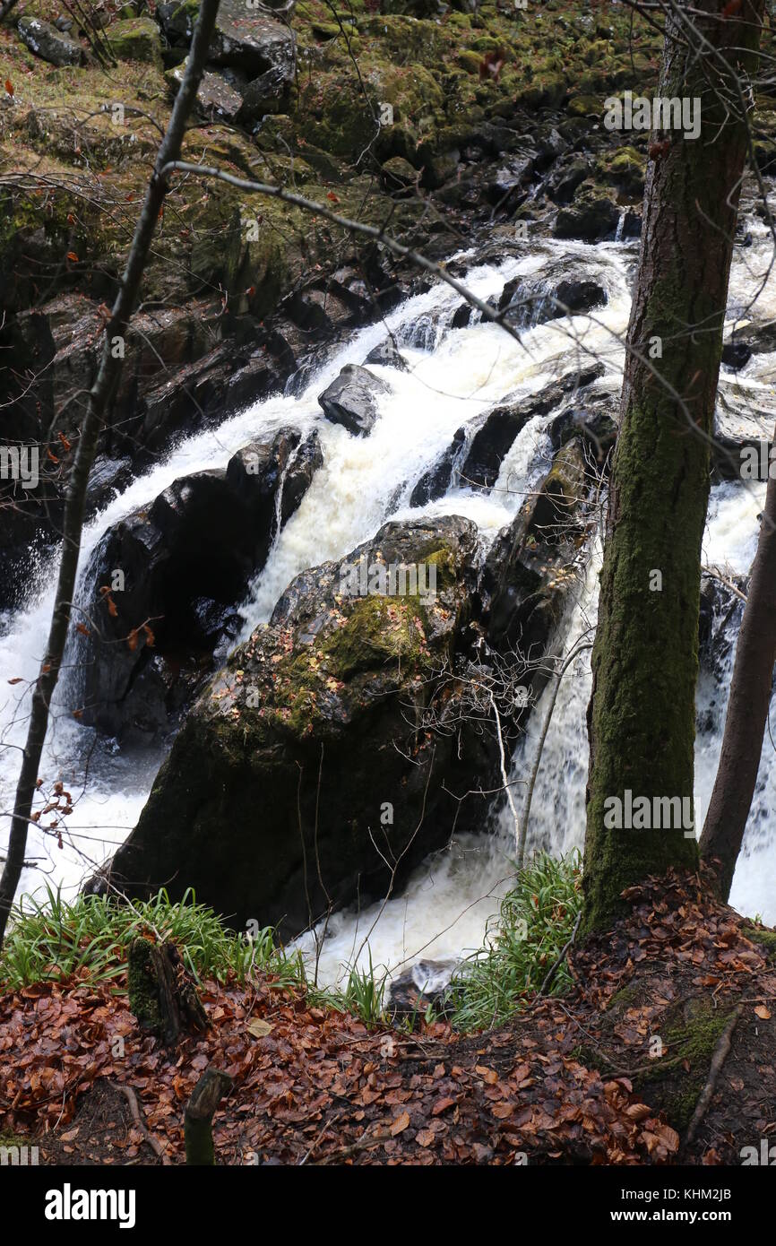 Waterfall on River Braan The Hermitage near Dunkeld Scotland November ...