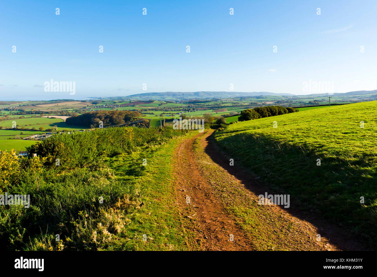 Quantocks autumn hi-res stock photography and images - Alamy