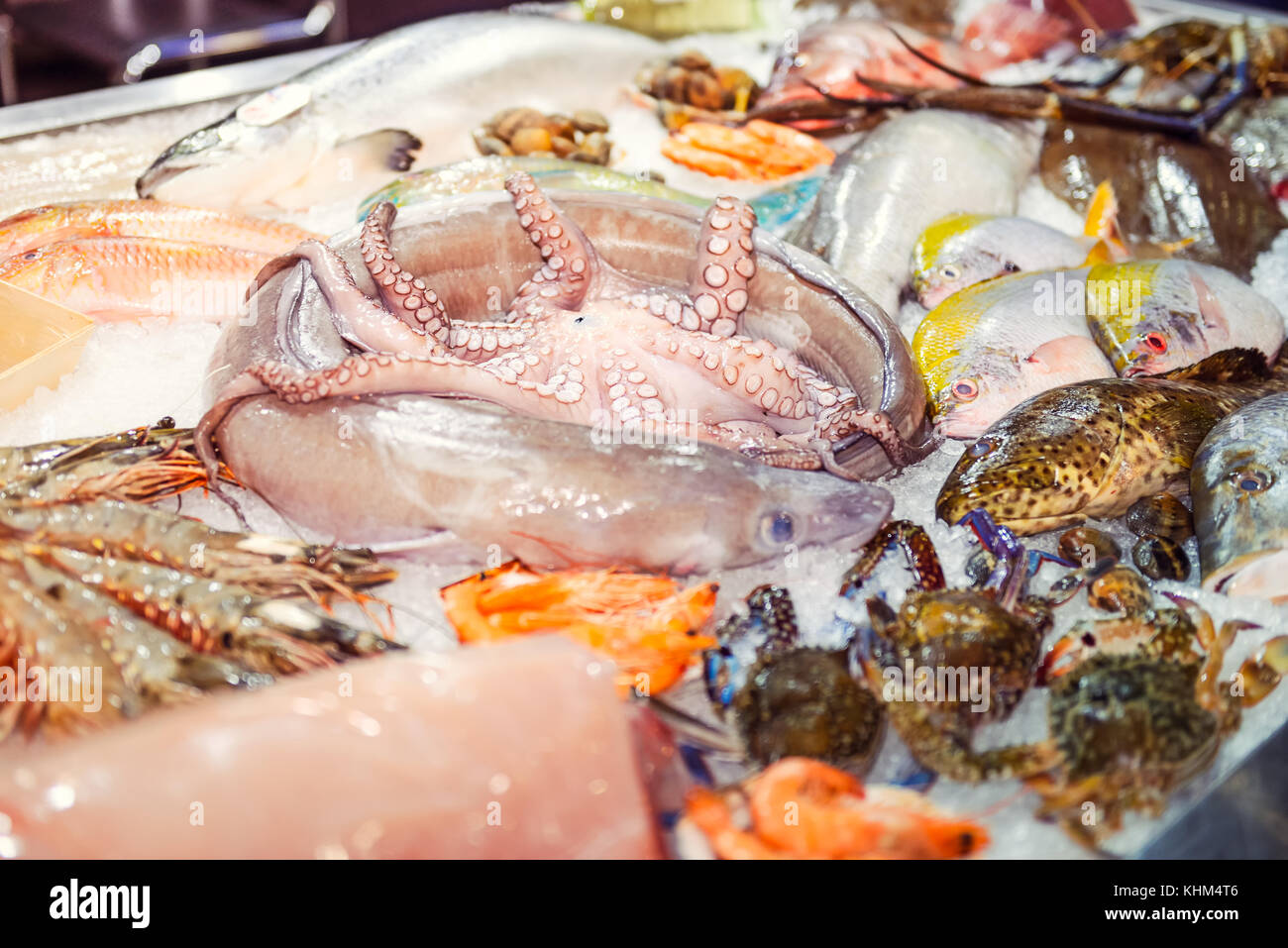 Various exotic seafood on the counter of the fish market. Raw and fresh ...