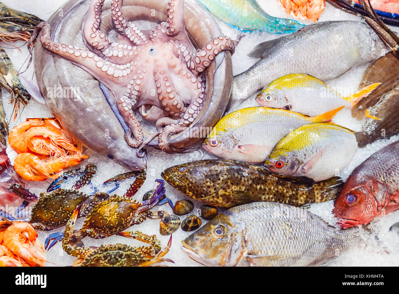 Various exotic seafood on the counter of the fish market. Raw and fresh ...