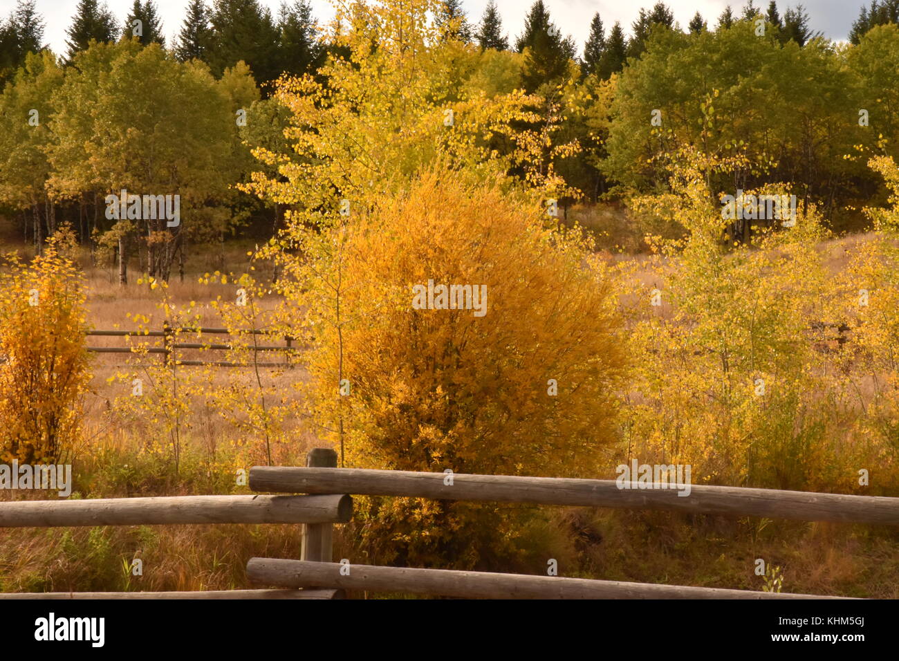 Autumn colors in the Cariboo Stock Photo - Alamy