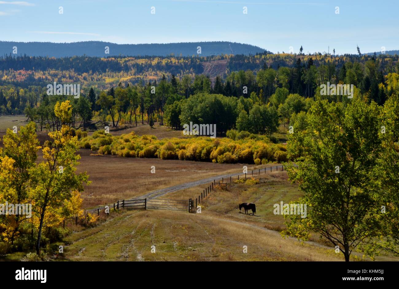 Overlooking pasture land in the autumn Stock Photo - Alamy