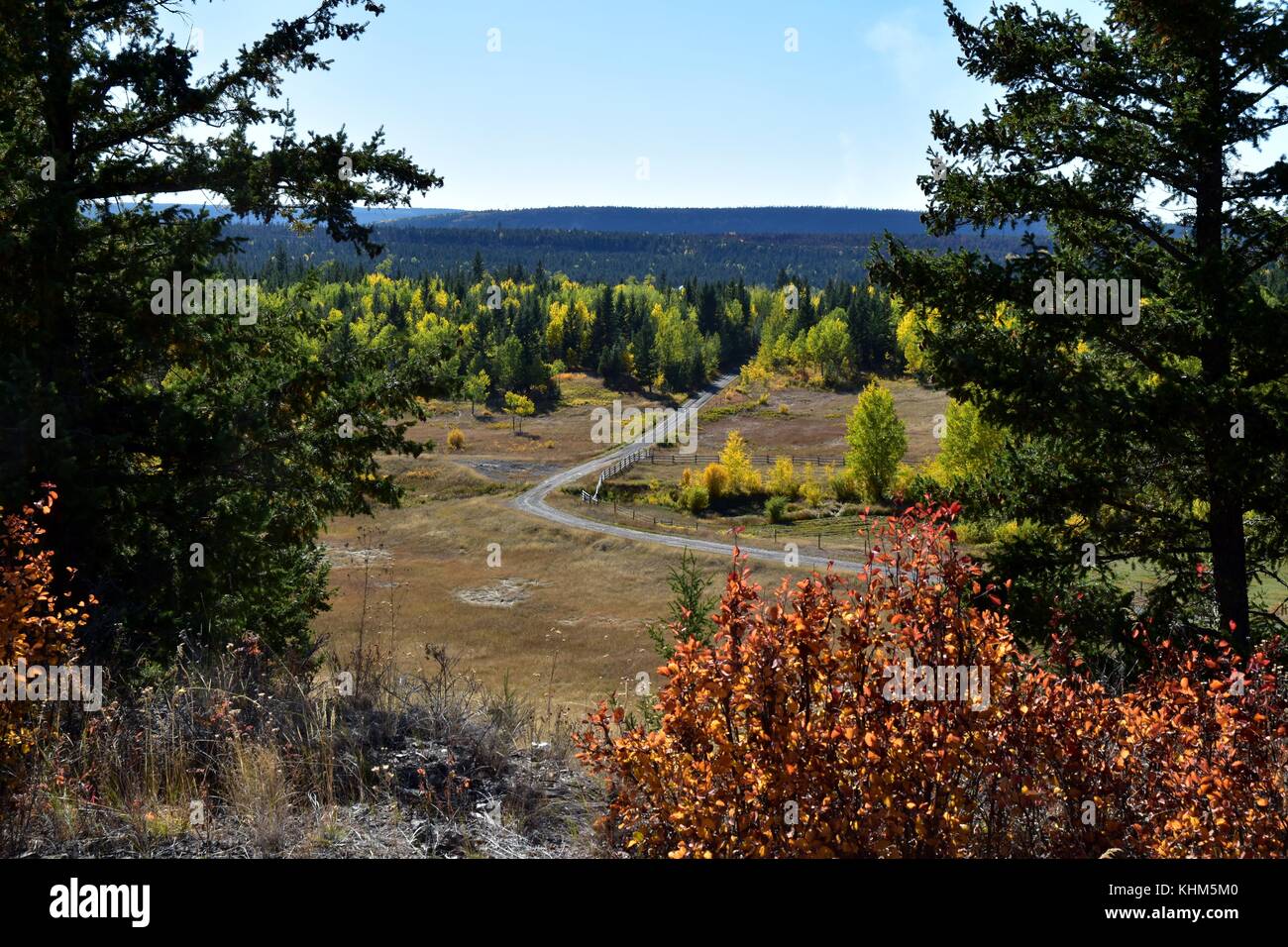 Fall foliage in the country Stock Photo - Alamy