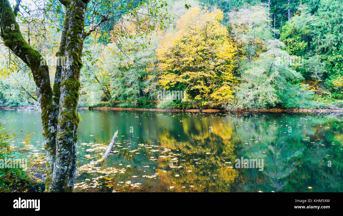 Mountain lake adorned in fall color and vivid reflections, Lake Sylvia ...