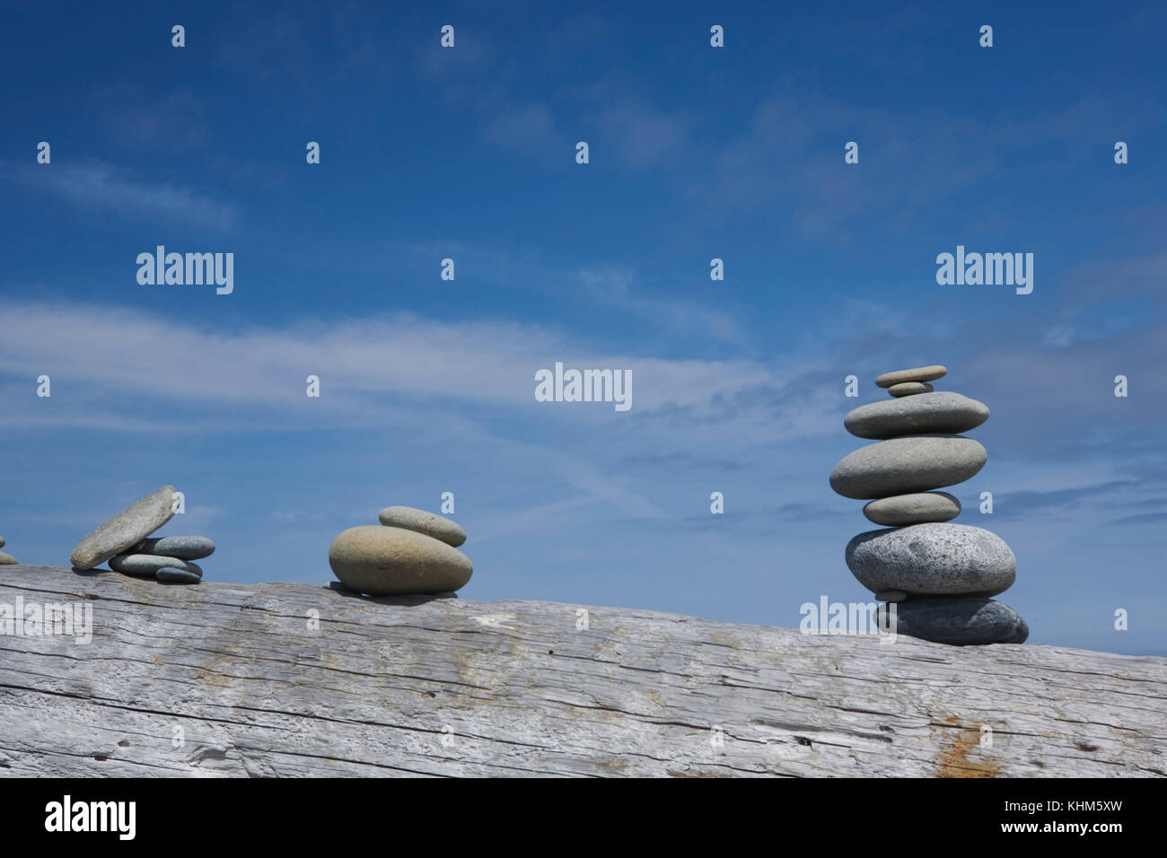 Famous Dungeness Spit near Sequim, Washington also hosts the Dungeness ...