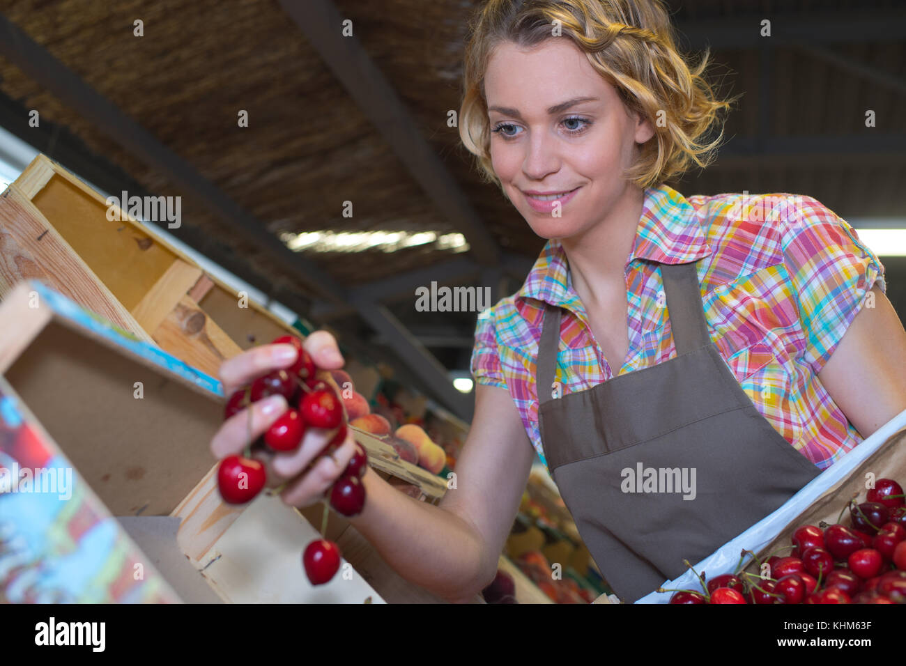 female berry picker Stock Photo - Alamy