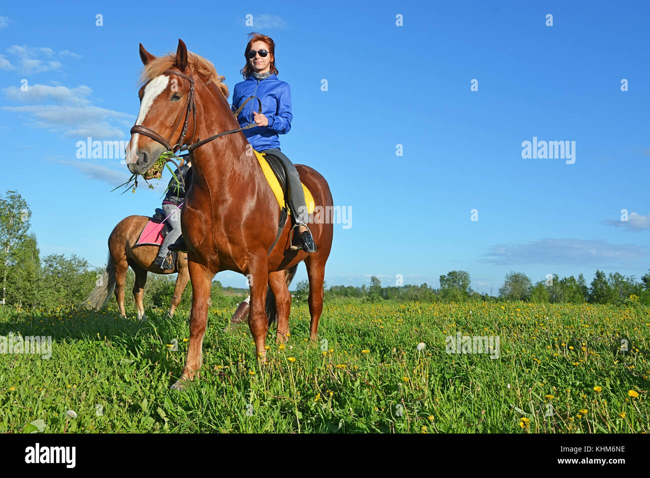 Young girl riding a horse in the field Stock Photo - Alamy